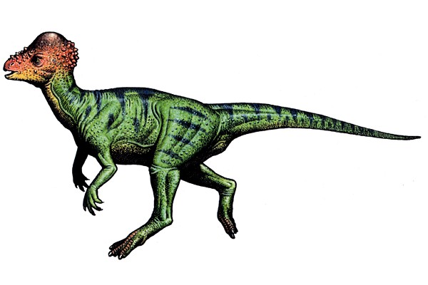 Dinosaur Hall | Academy of Natural Sciences of Drexel University